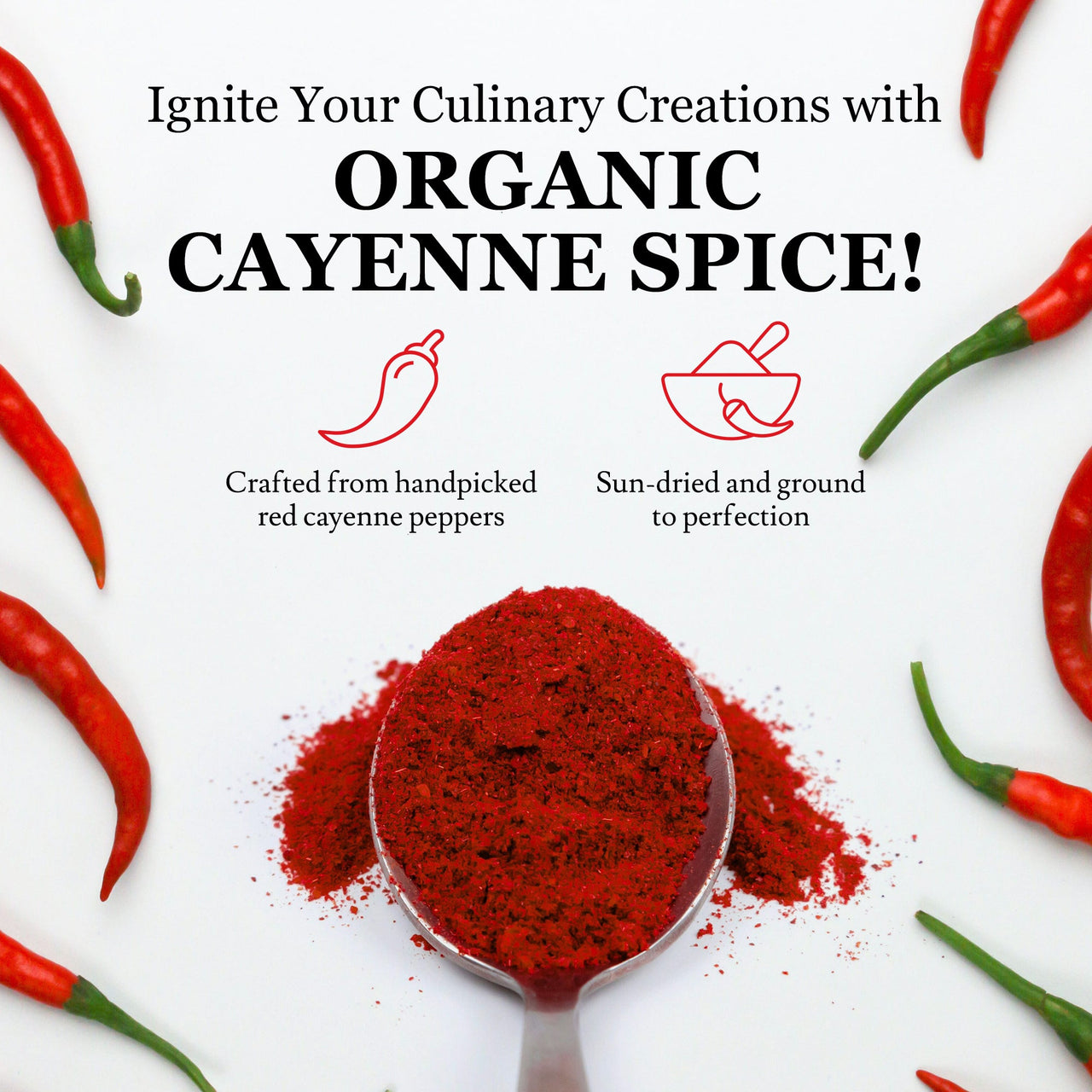 Organic Cayenne Pepper 1Lb (453 grams) – Minerva spices